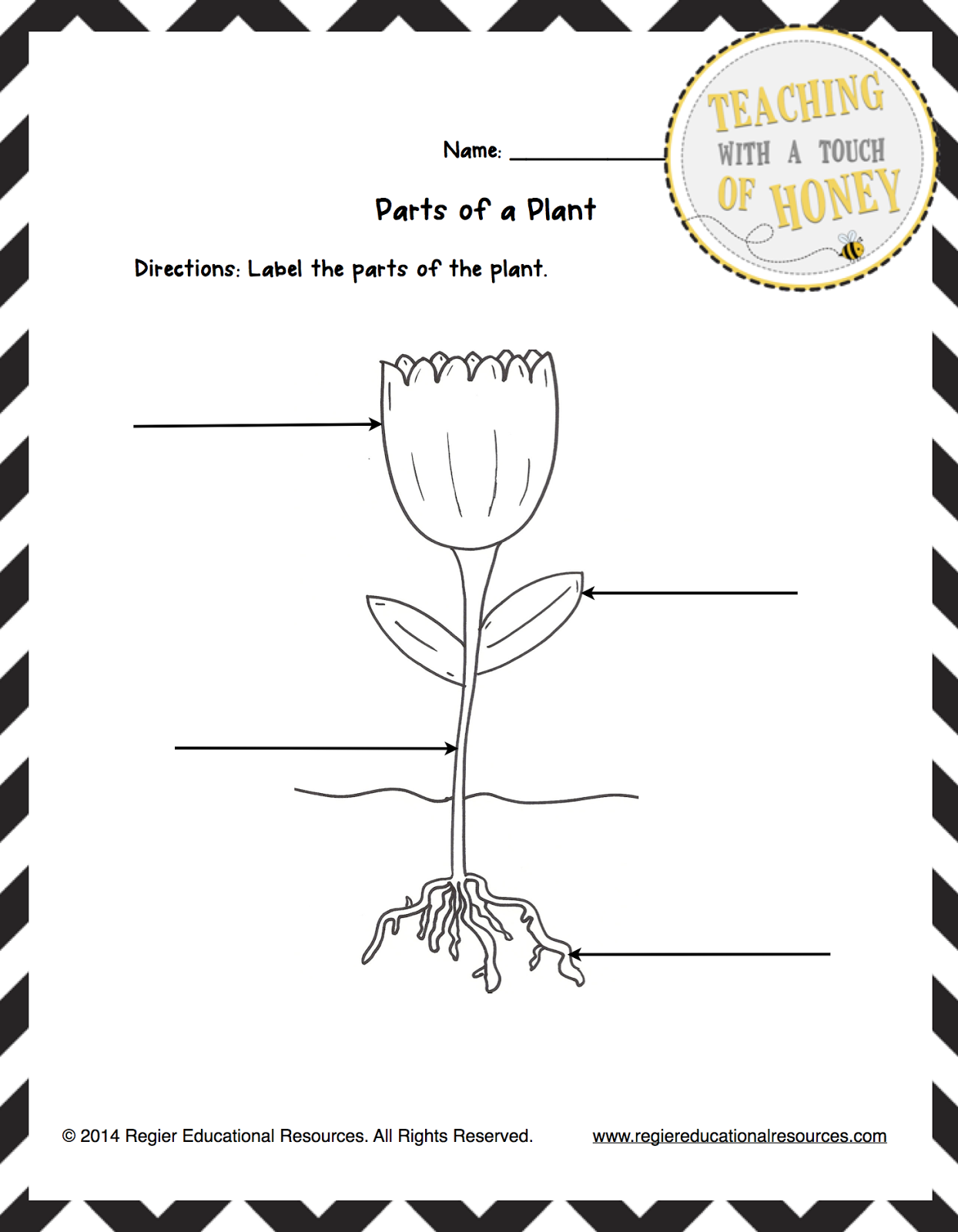 Classroom Freebies Too: FREEBIE! Label the Plant Tiered Templates