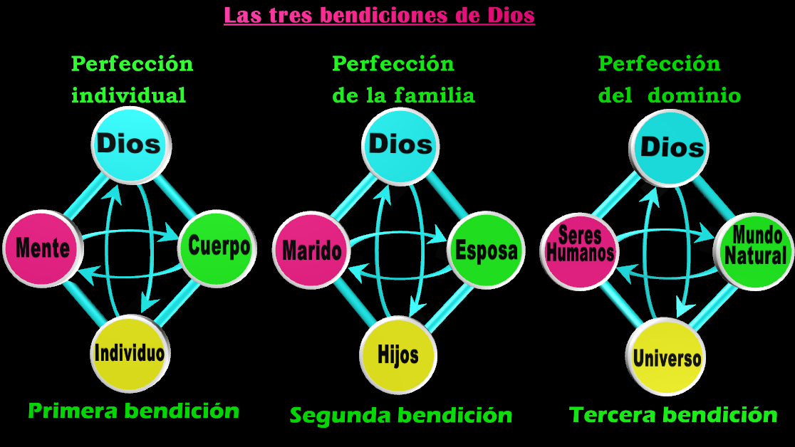 El Principio Divino: CAPITULO 1 Los Principios de la Creación