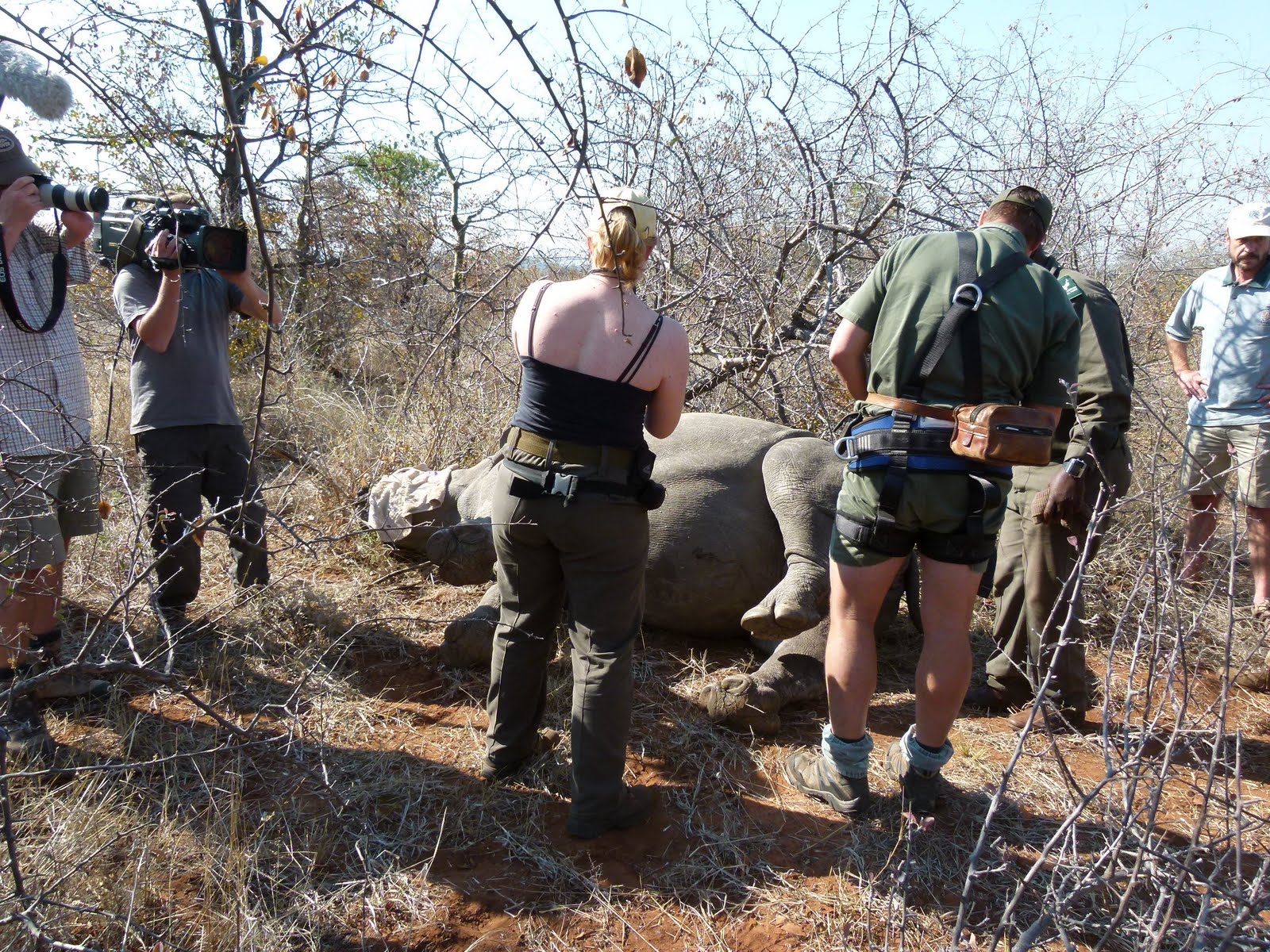 Into the wild: Day 5 - Game Ranger - Rhino capture