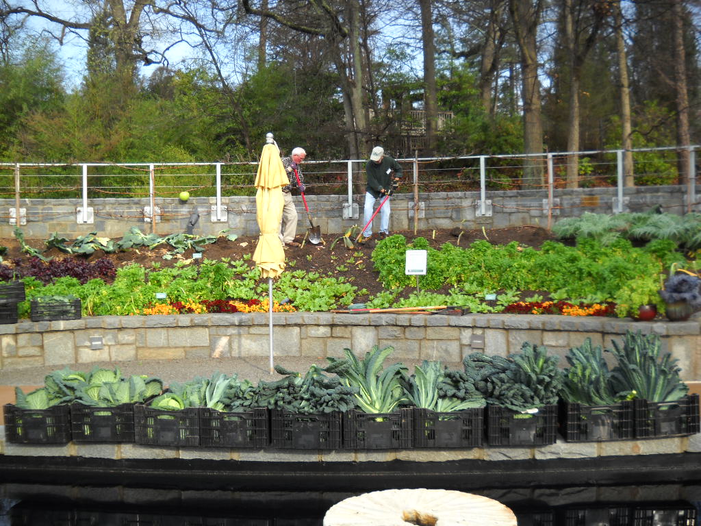 Plant to Plate: Early Spring Harvest