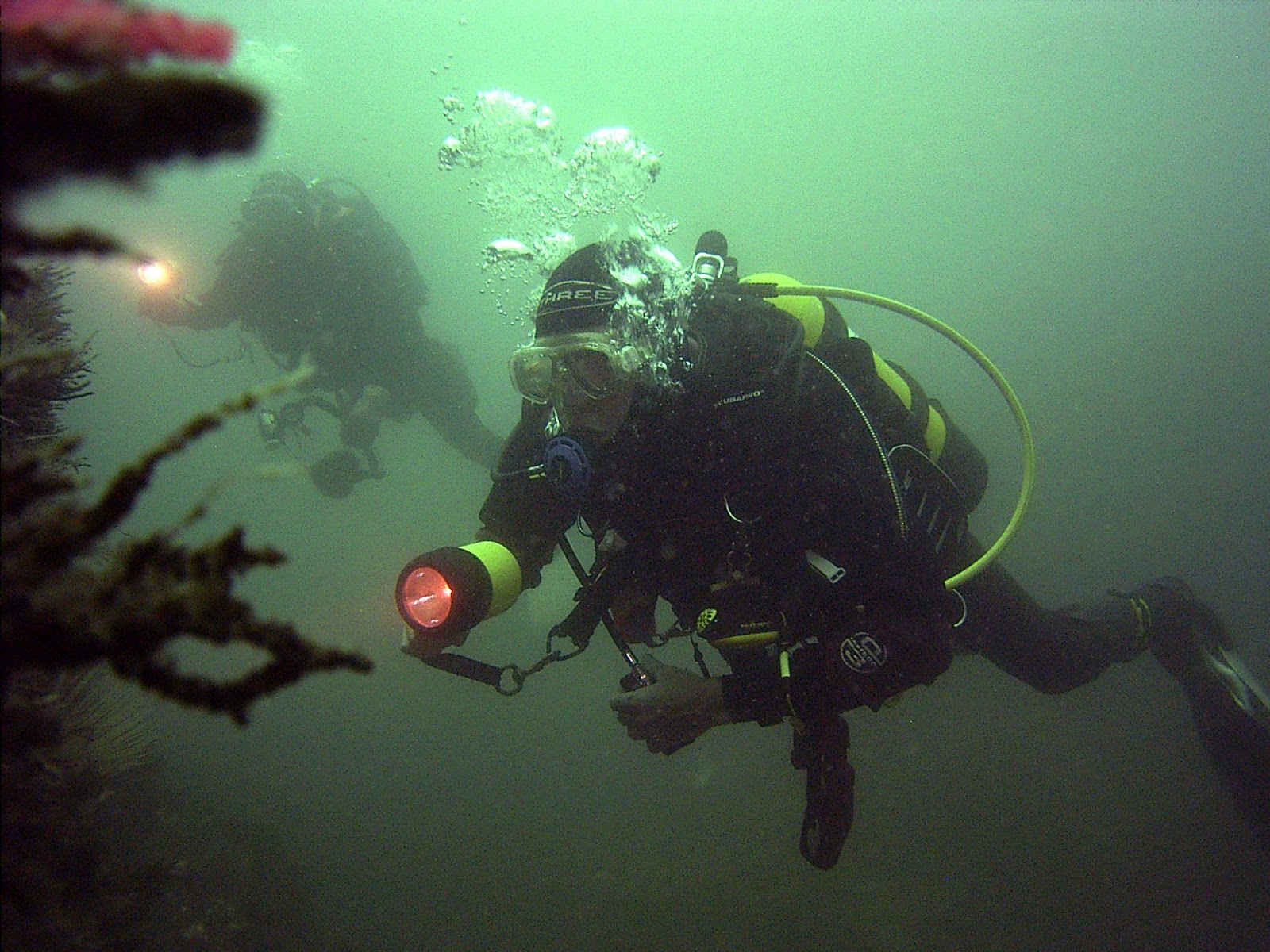 Hedge Finders: Diving the Manacles - Lizard Peninsula, Cornwall UK