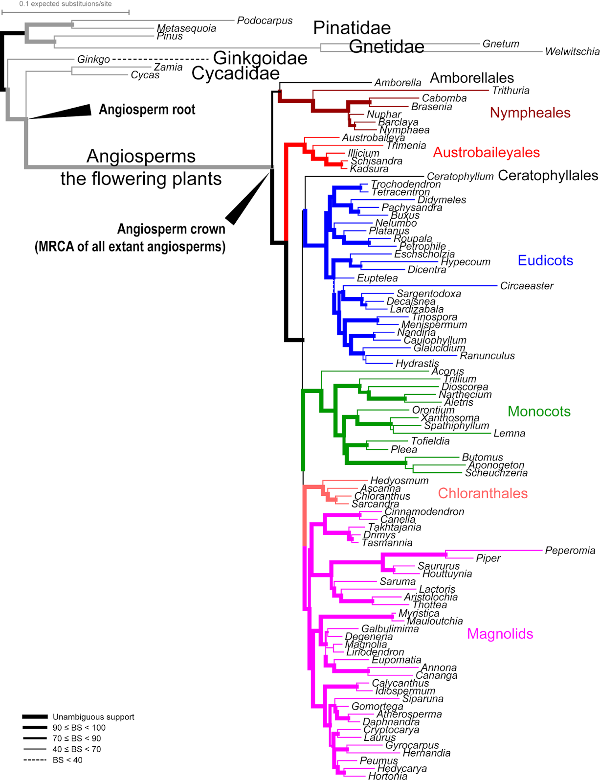 Res.I.P. – an unprofessional science (and other things) blog: Age of ...