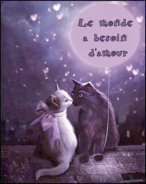 Citations option bonheur: Besoin d'amour Citations option bonheur: Besoin d'amour
