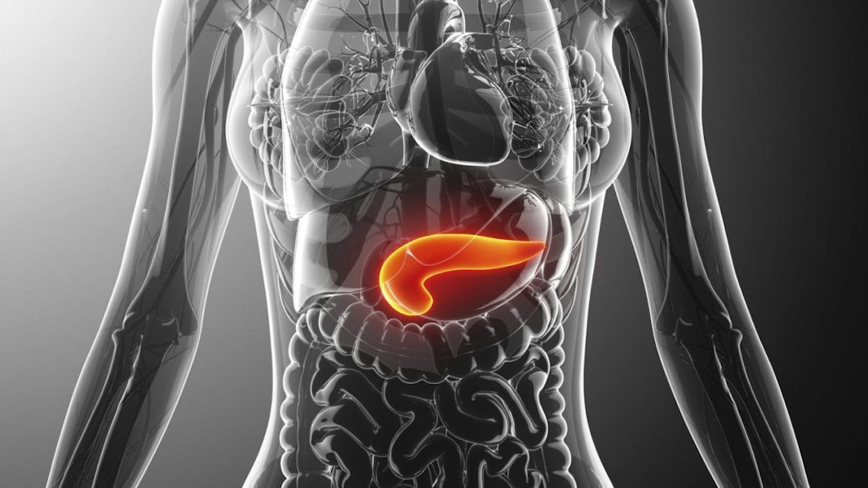Pancreatitis: Síntomas, Causas y Tratamiento | Salud y Cuidados