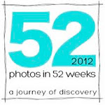 The Secret to Having it All......: 52 Photos/Week #27 Dinner