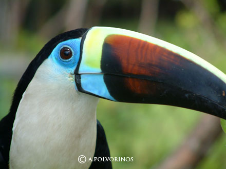 Maravillas Venezolanas.: Parque Nacional Canaima.
