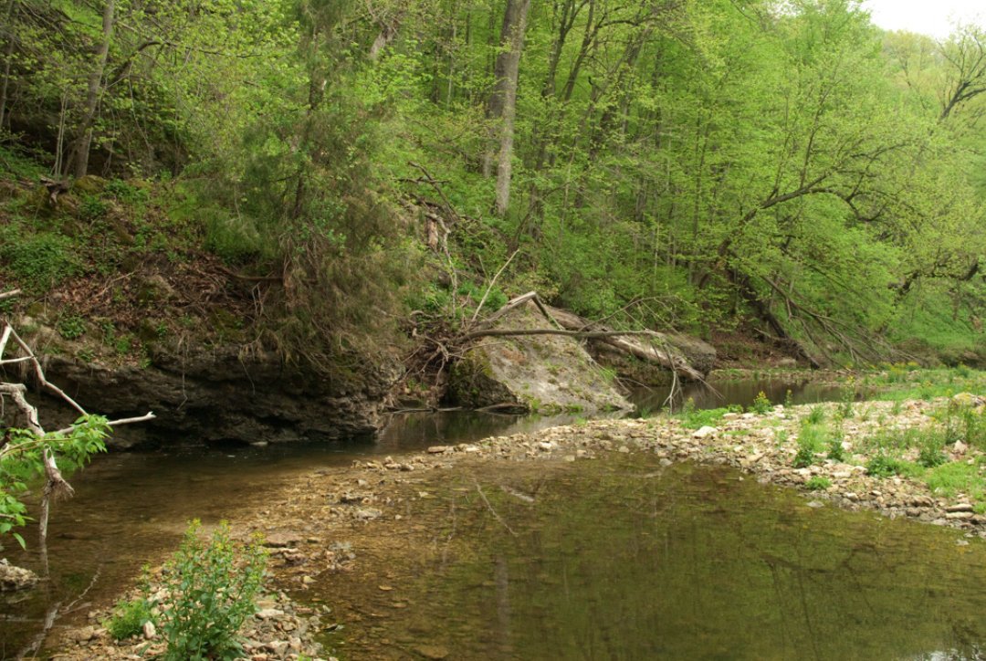 Currents: Iowa Trout Streams