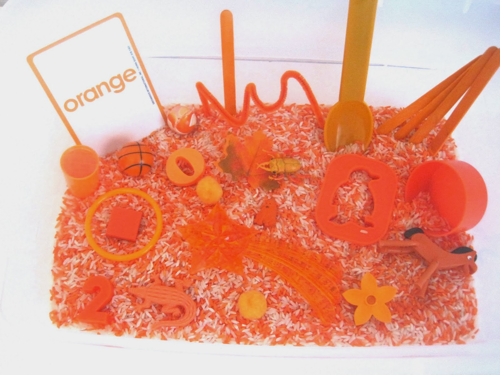 Organic Insights Learning Studio: DIY ORANGE Sensory Box - Your Child's ...