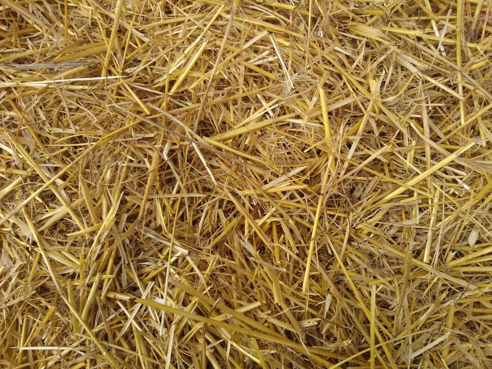 Lev mer på mindre: Halm