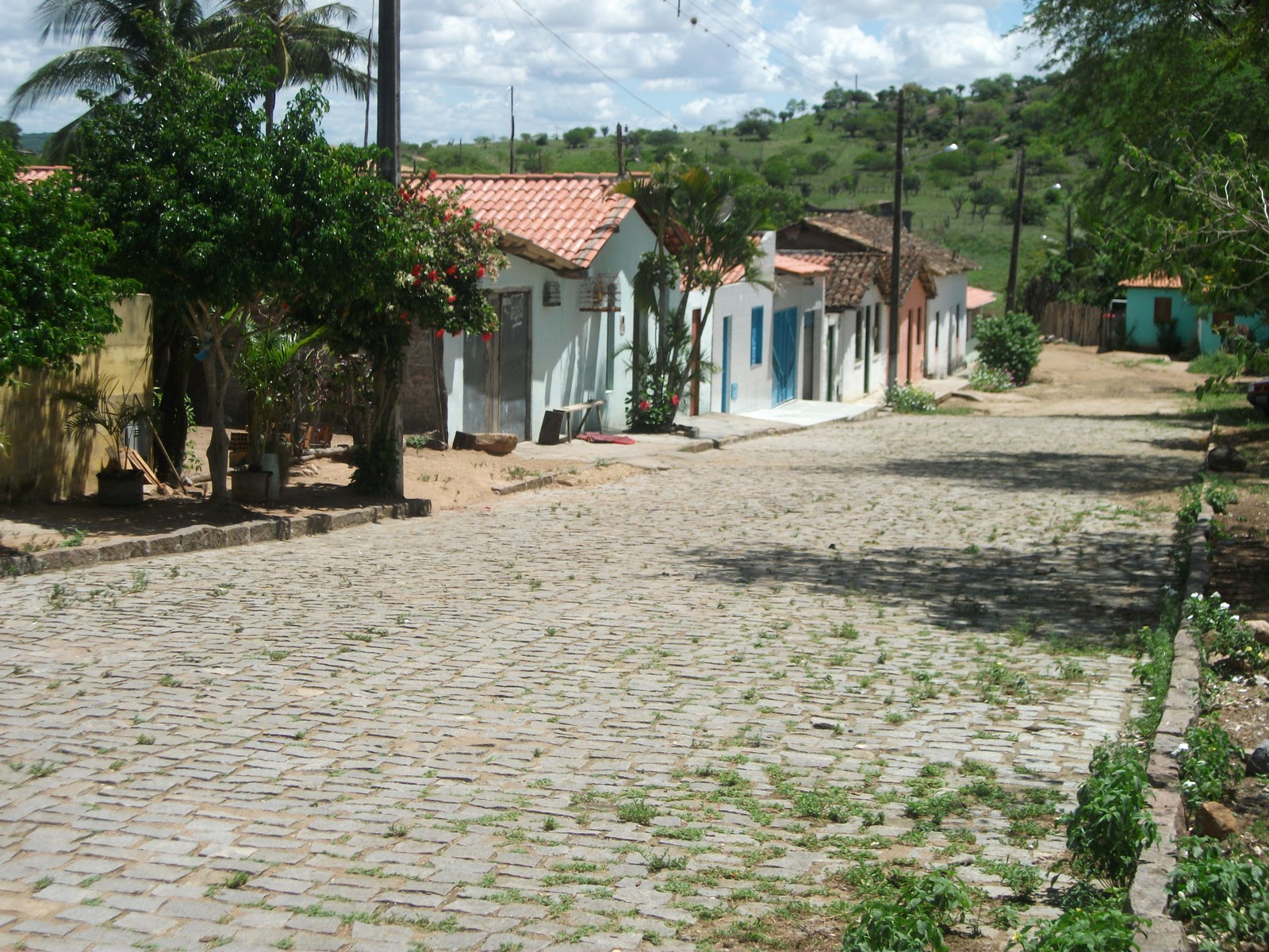 Fotos do Ichu Notícias: Novas fotos do interior da Bahia: