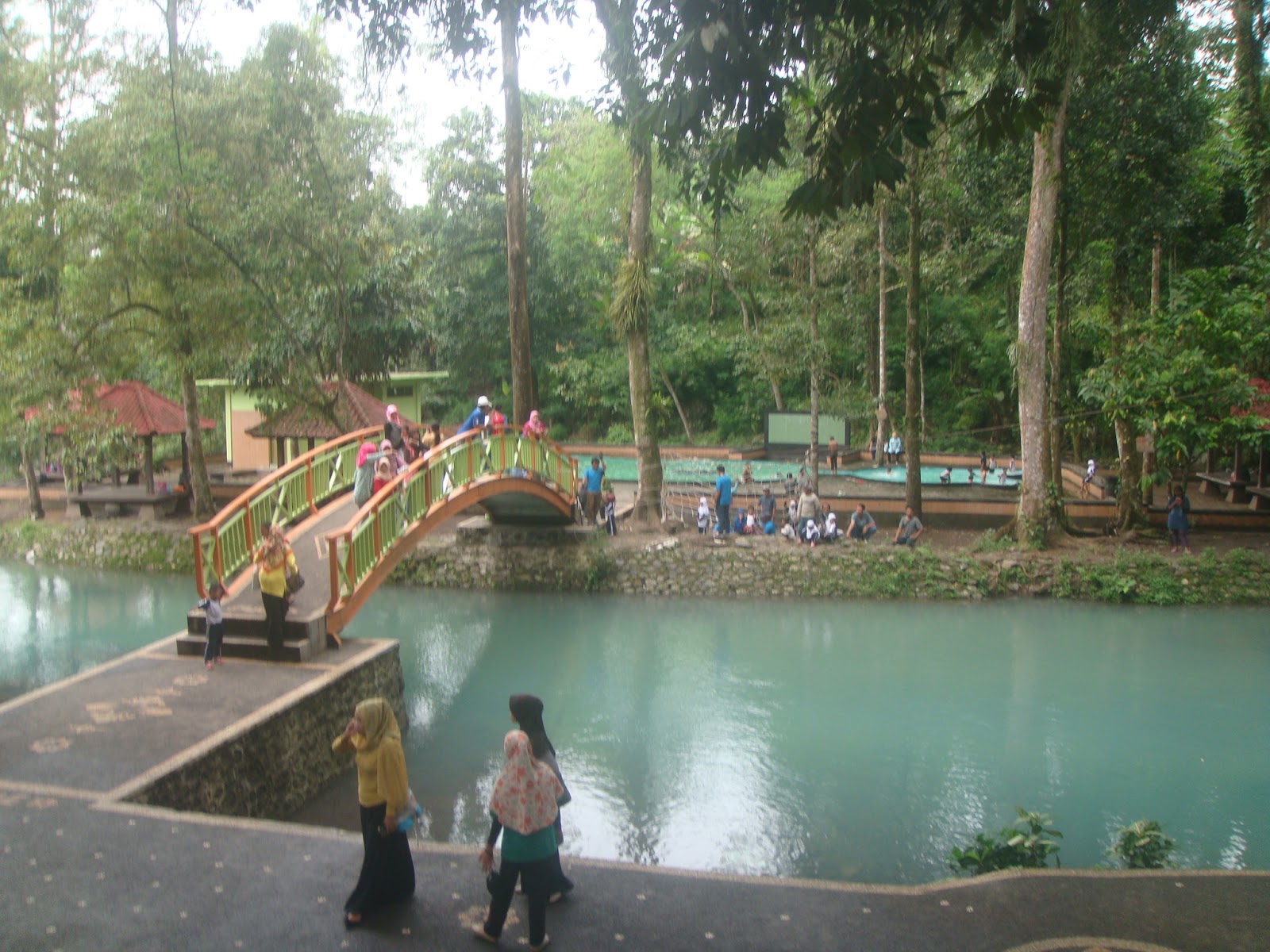 Sesaot,another fascinating forest in Lombok ~ Lombok Exposed
