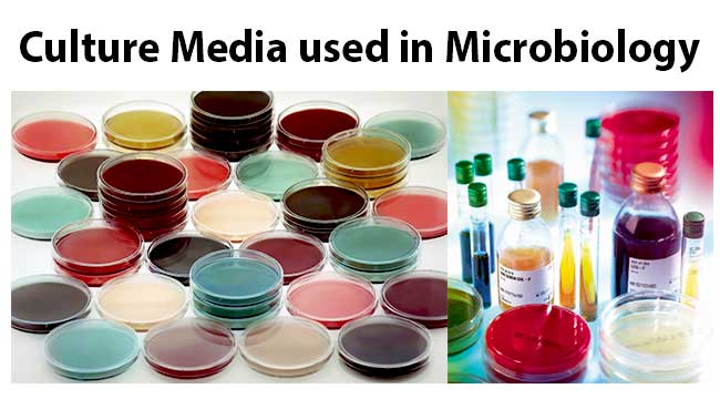 PHARMACEUTICAL MICROBIOLOGY Microbial Growth Media Requirements pharmaceutical-microbiology-microbial-growth-media-requirements