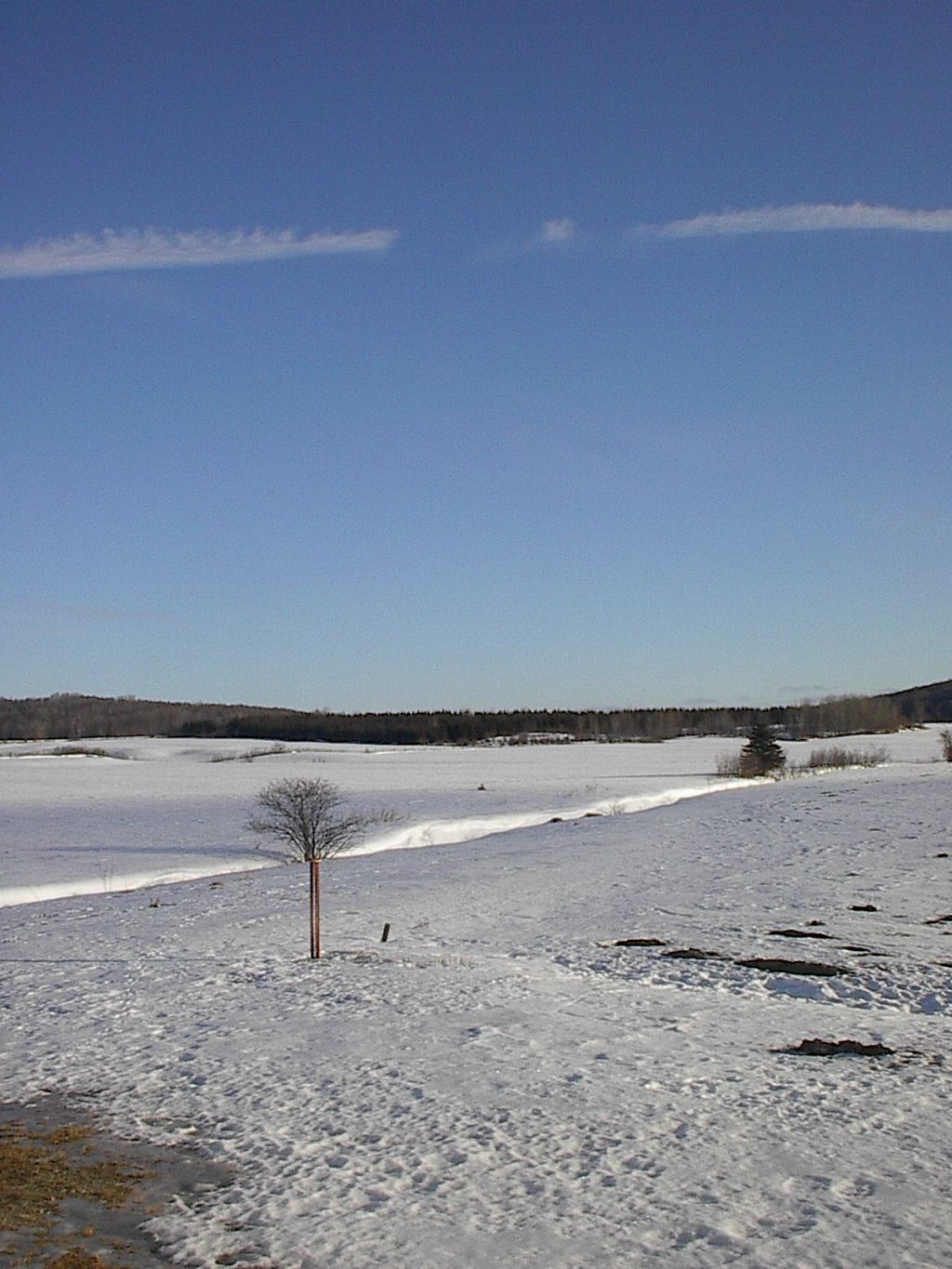 Orgonul si dispozitive orgonice: Despre Orgon