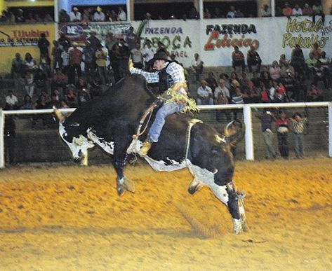 Realização de rodeios no interior do Amazonas atrai público e ...