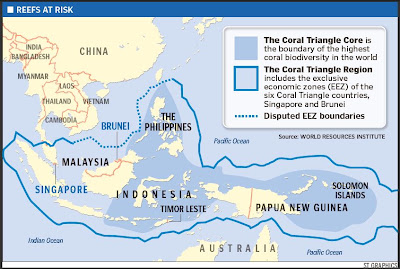 wildsingapore news: Coral Triangle reefs 'face wipe-out'