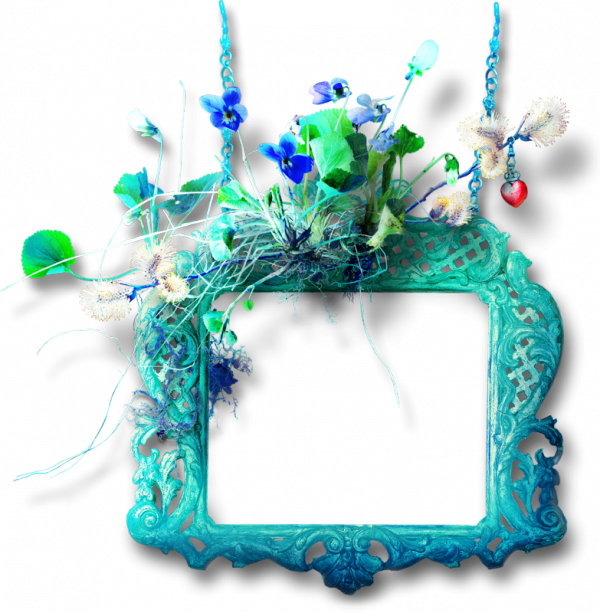 ForgetMeNot: Cluster spring frames
