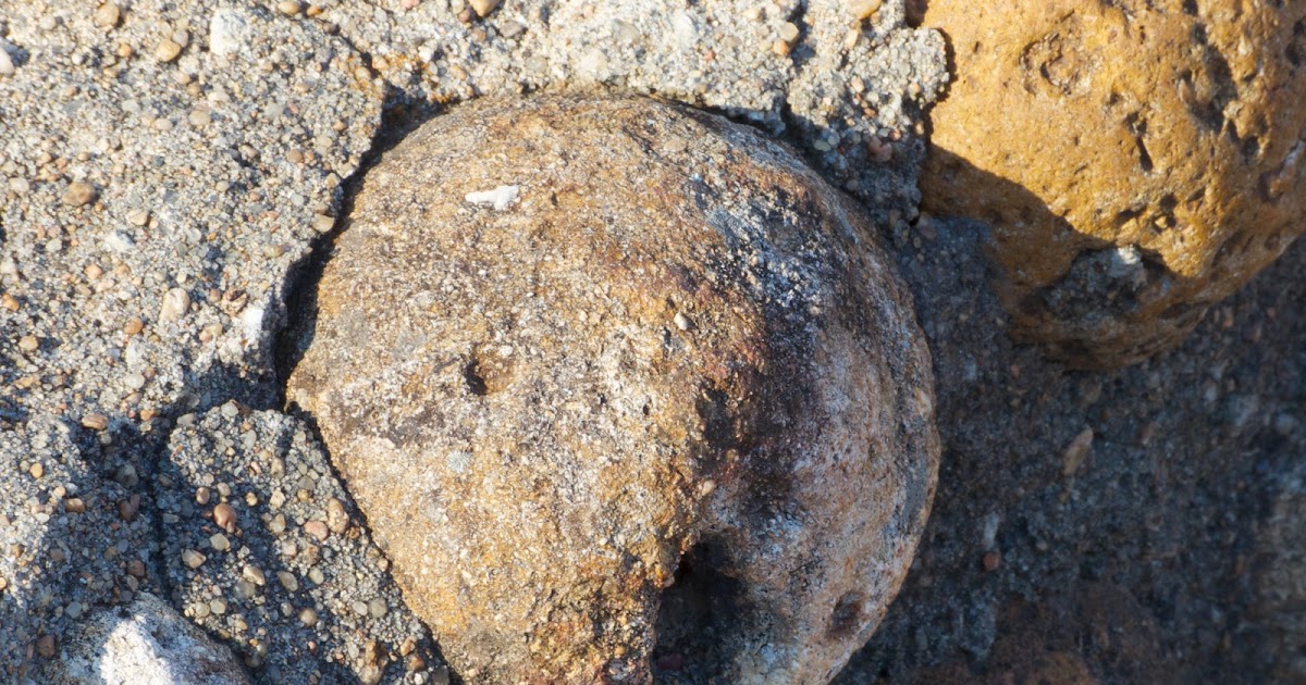 Wild Missouri: Round Rocks of Missouri