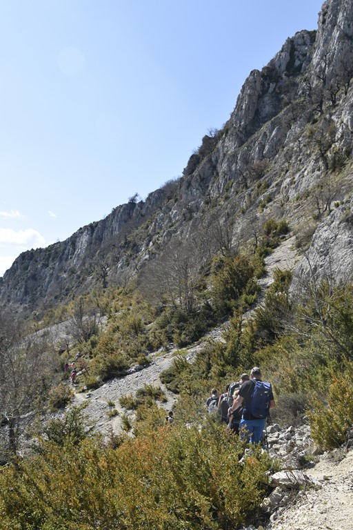 Mendiko osterak: Arnaba zirkularra Gastiain herritik