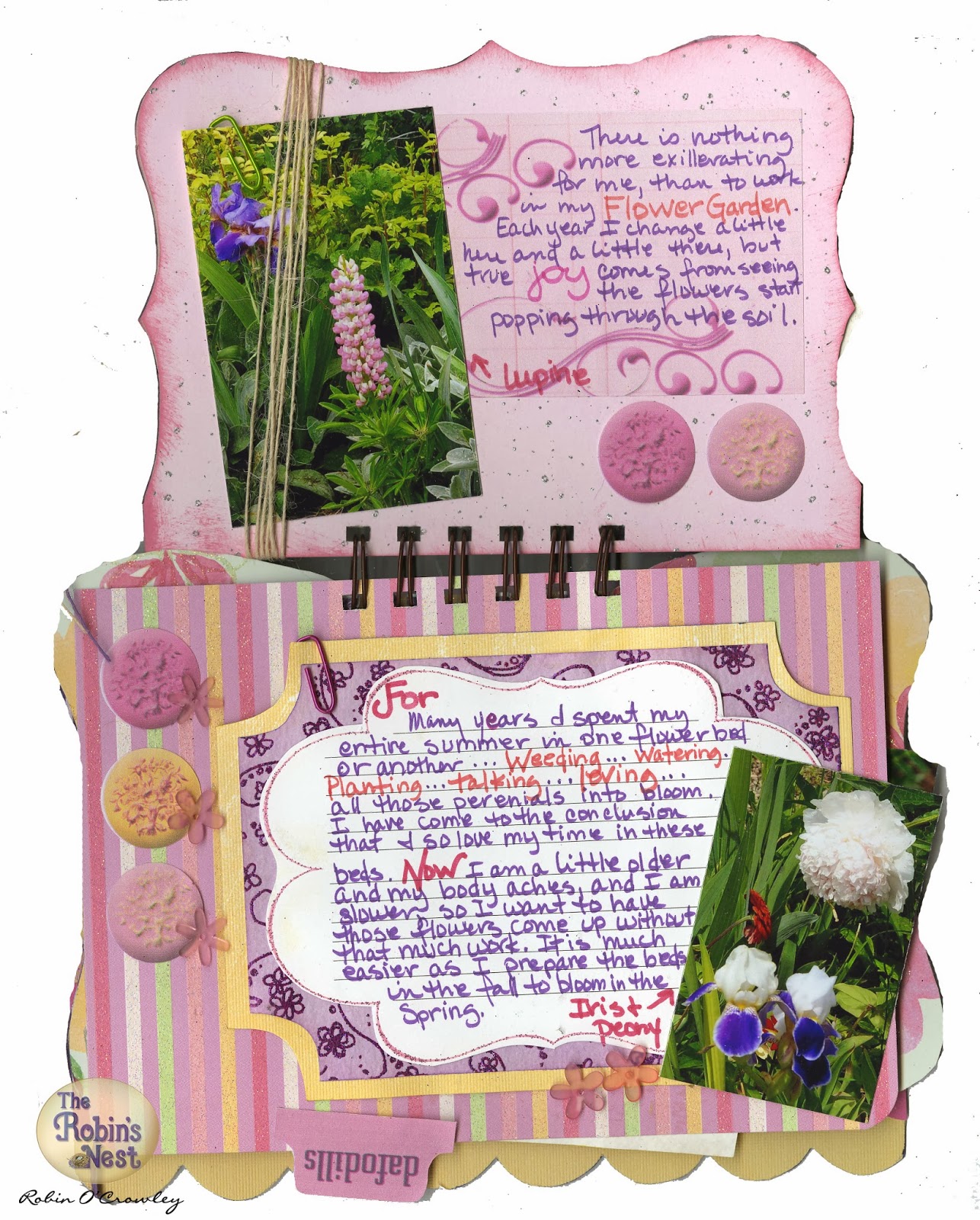 Robin's Creations of Joy: Spring Flowers Mini Book