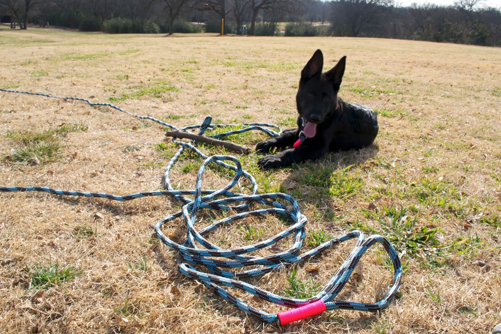 50' Long Lead Tutorial | Living With a Landshark