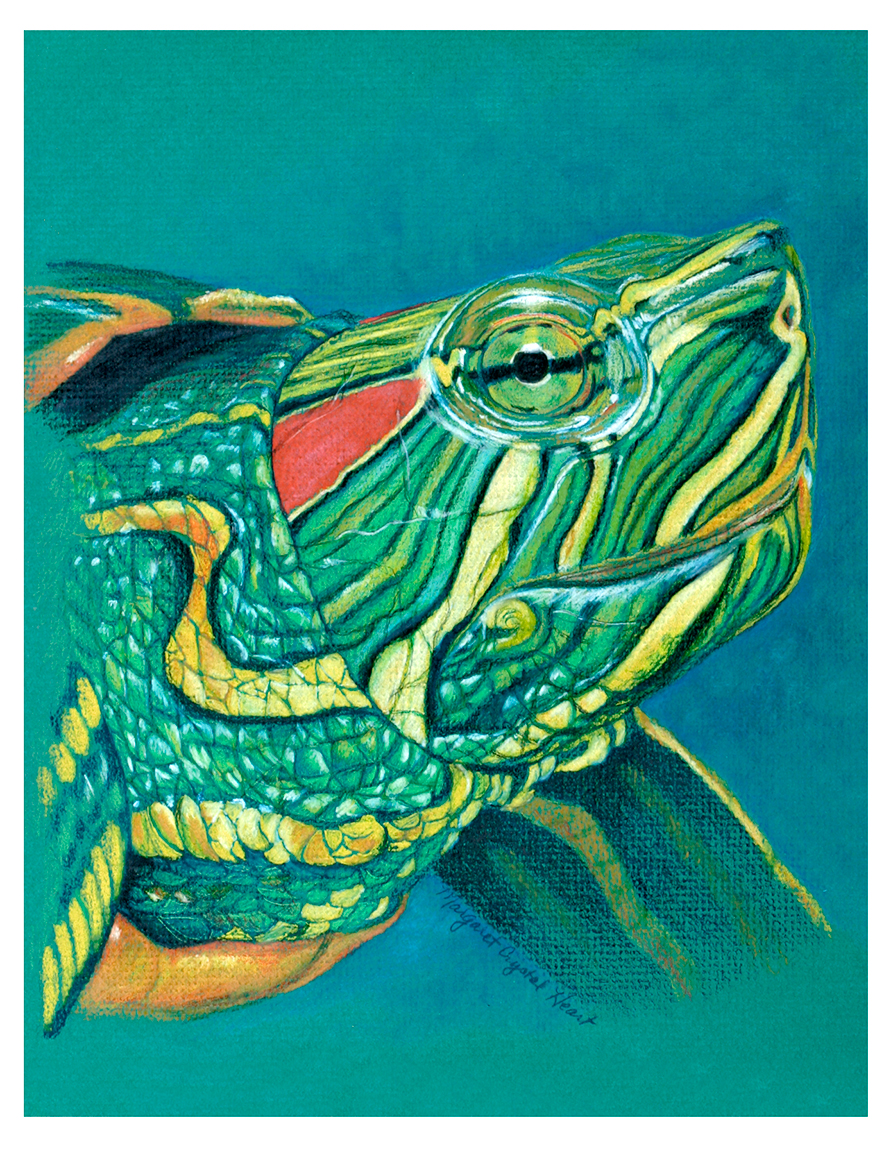 Margaret's Creations: The Art of Color Pencils