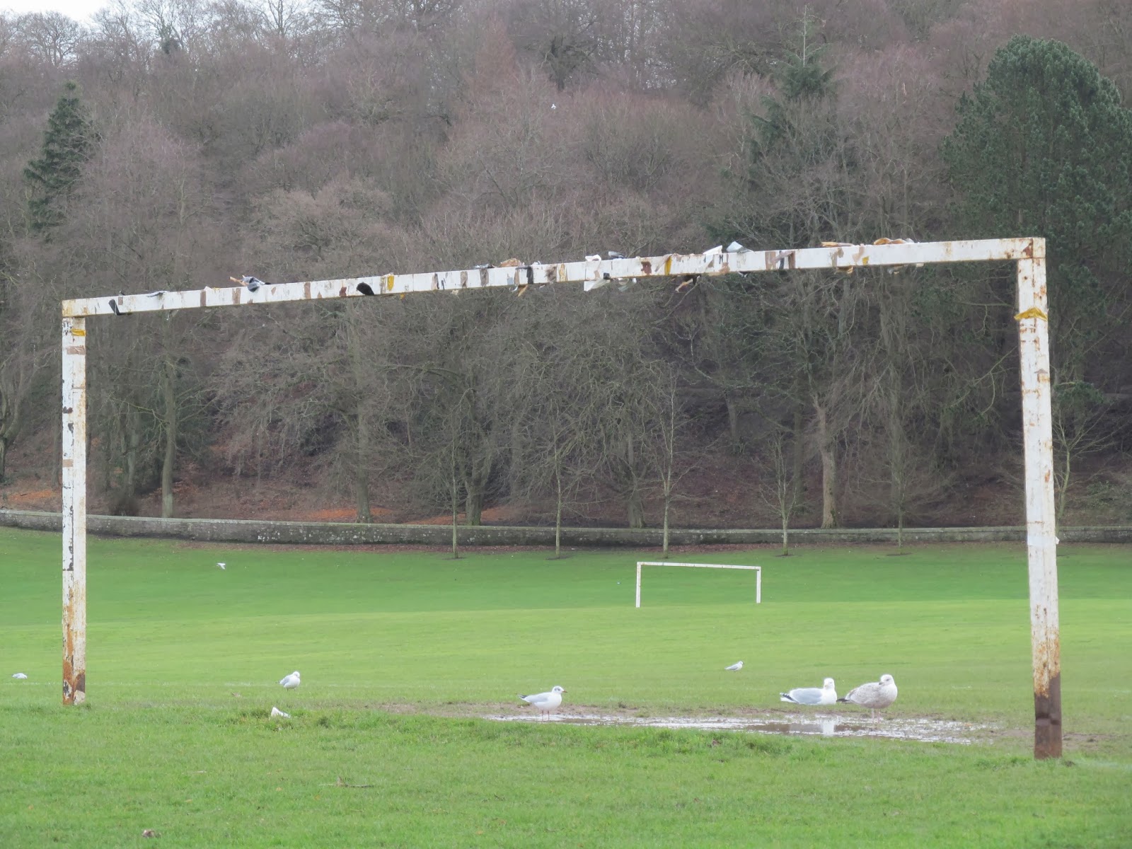 Dundee Photos - City of Discovery: Lochee Park Dundee