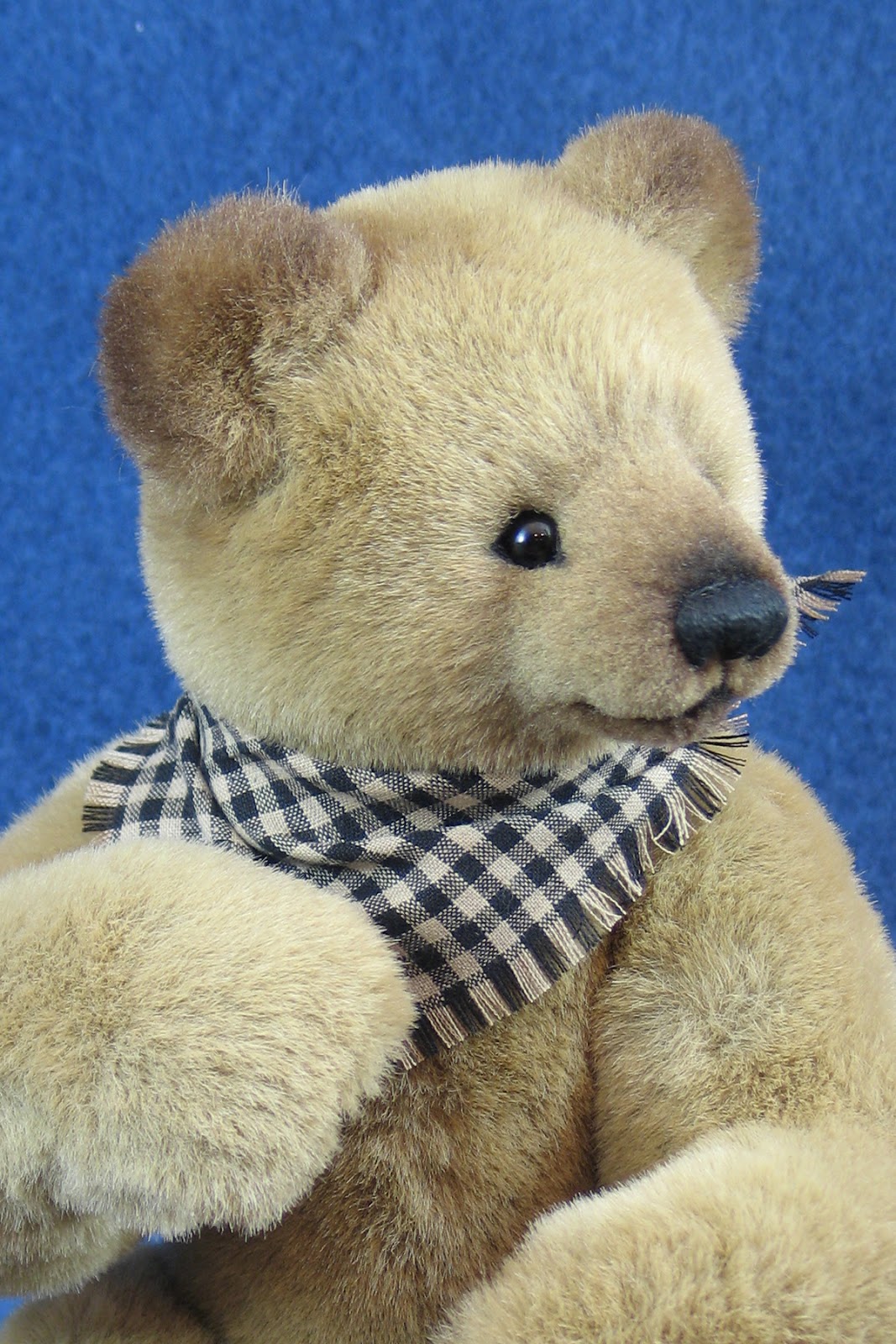 Inside My Studio: Teddy Bear and Friends Picnic!