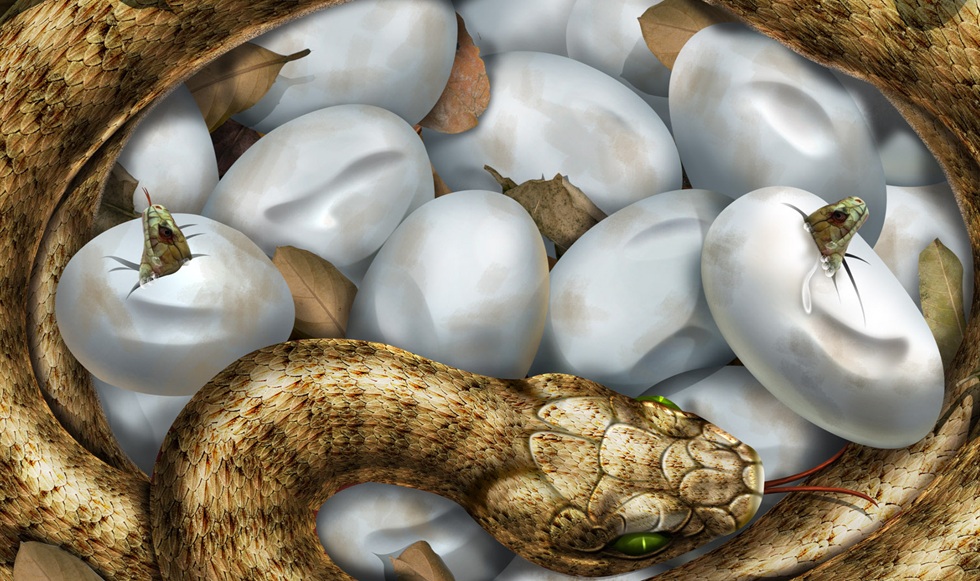 AncientBriton: Brood of vipers!