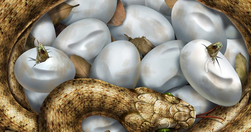 AncientBriton: Brood of vipers!