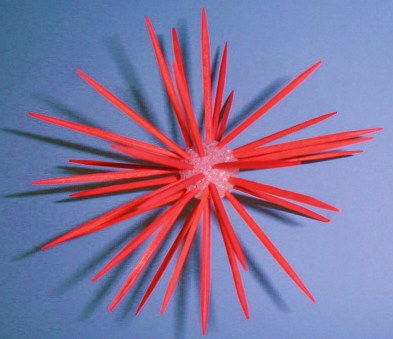 Learning Ideas - Grades K-8: Sea Urchin Craft Activity