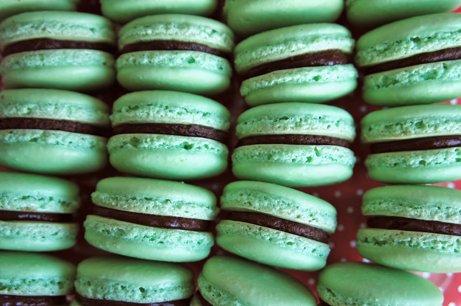 changtilly: Mint Chocolate Macarons