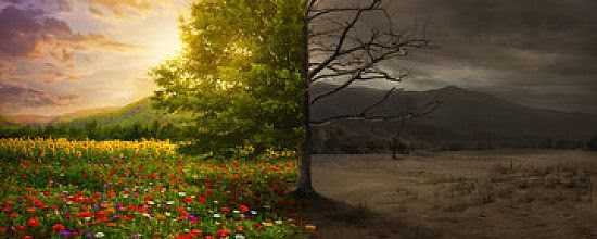 BLOG DO UNIVERSO: To Remember Me - Um Poema de Robert N. Test - Vida ...