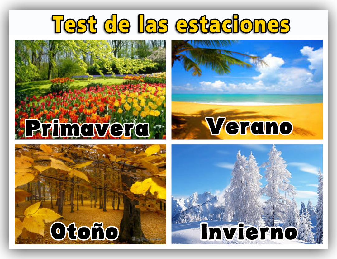 Universo de Luz y Amor: ¿Sabías que tu estación favorita refleja ...