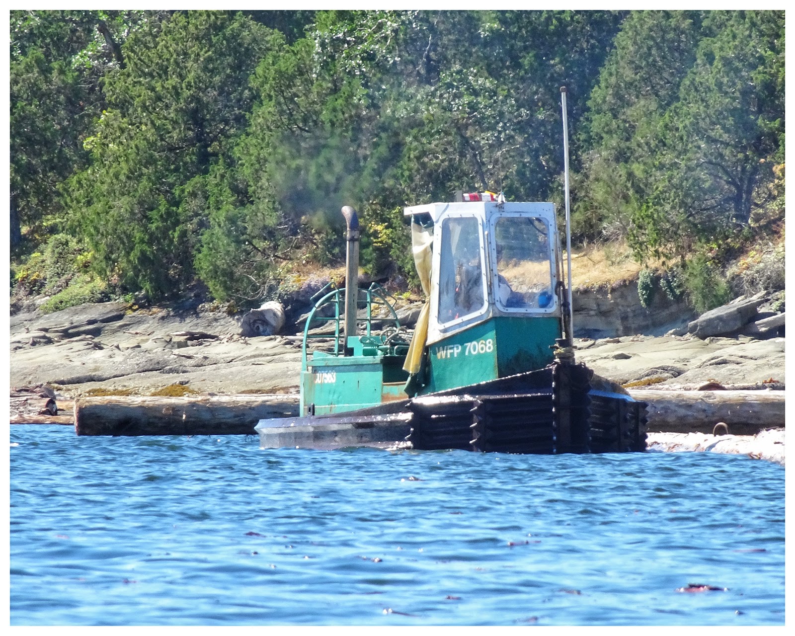 Vancouver Island in Pictures: Ladysmith - Kayaking, Boom Boats, Log Booms