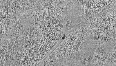 Giant-Snail On Pluto? WHAT THE F@#*! ~ The Xenologist