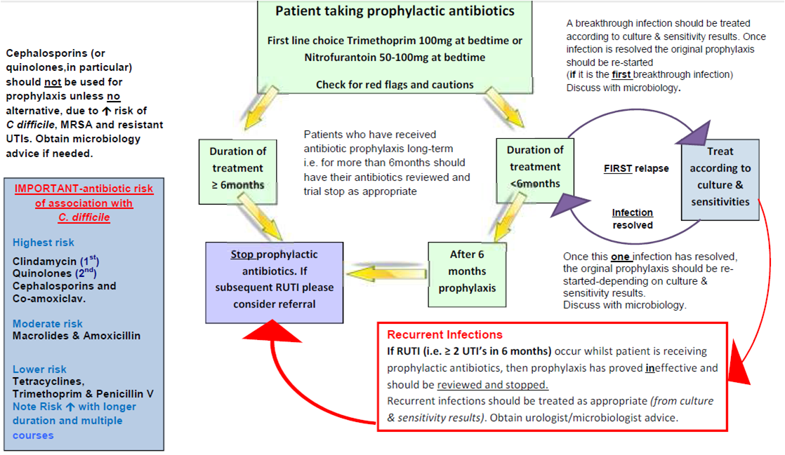 ASK DIS: Management of Recurrent UTI
