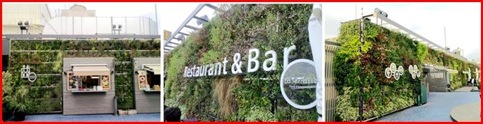 ΤΑΡΑΤΣΟΚΗΠΟΣ...Ο ΚΗΠΟΣ ΤΩΝ ΠΟΛΕΩΝ: Το φυτό στους επαγγελματικούς χώρους