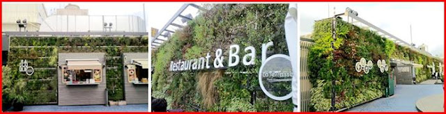 ΤΑΡΑΤΣΟΚΗΠΟΣ...Ο ΚΗΠΟΣ ΤΩΝ ΠΟΛΕΩΝ: Το φυτό στους επαγγελματικούς χώρους