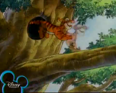 The New Adventures of Winnie The Pooh: Tigger's Shoes