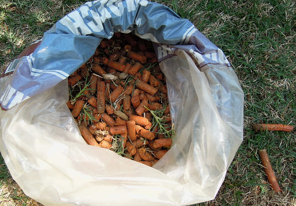 Moristotle & Co.: Six Years Ago Today: Retired to turf-turding