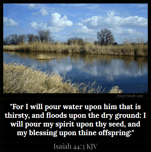 2 Timothy 2:15 Truth: Verse of the Day: Isaiah 44:3 KJV