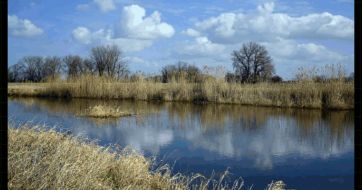 2 Timothy 2:15 Truth: Verse of the Day: Isaiah 44:3 KJV