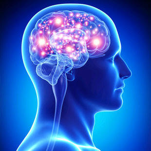 BLUE BRAIN: The Brain Made By Human - TECHurosity | new technology 2016 ...