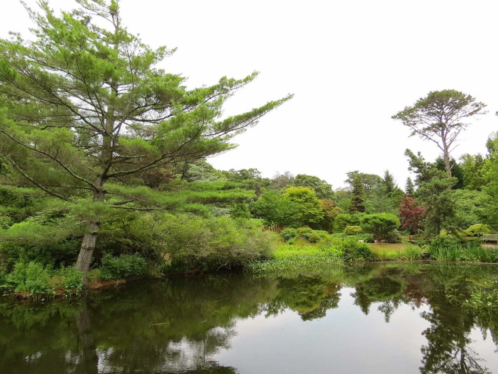 Flashback to Mytoi Gardens