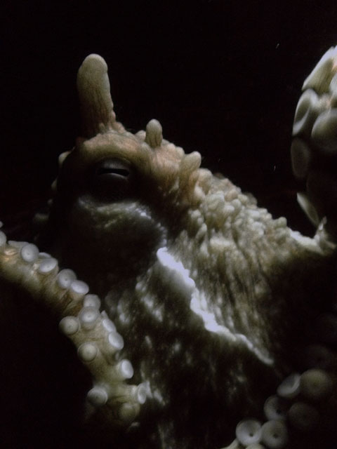 Exhibit Galleries Blog