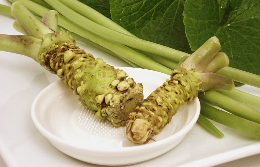 Pengalaman pertama makan wasabi - Catatan Travel Sabrina