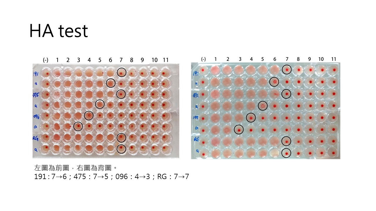大三進實驗室：實驗室的各種所學｜王聖帆-2