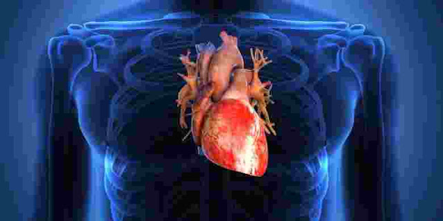 How to Strengthen Heart Muscle Exercise