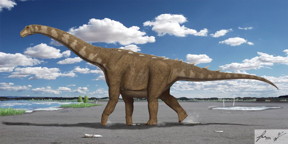 Species New to Science: [Paleontology • 2016] Lohuecotitan pandafilandi ...