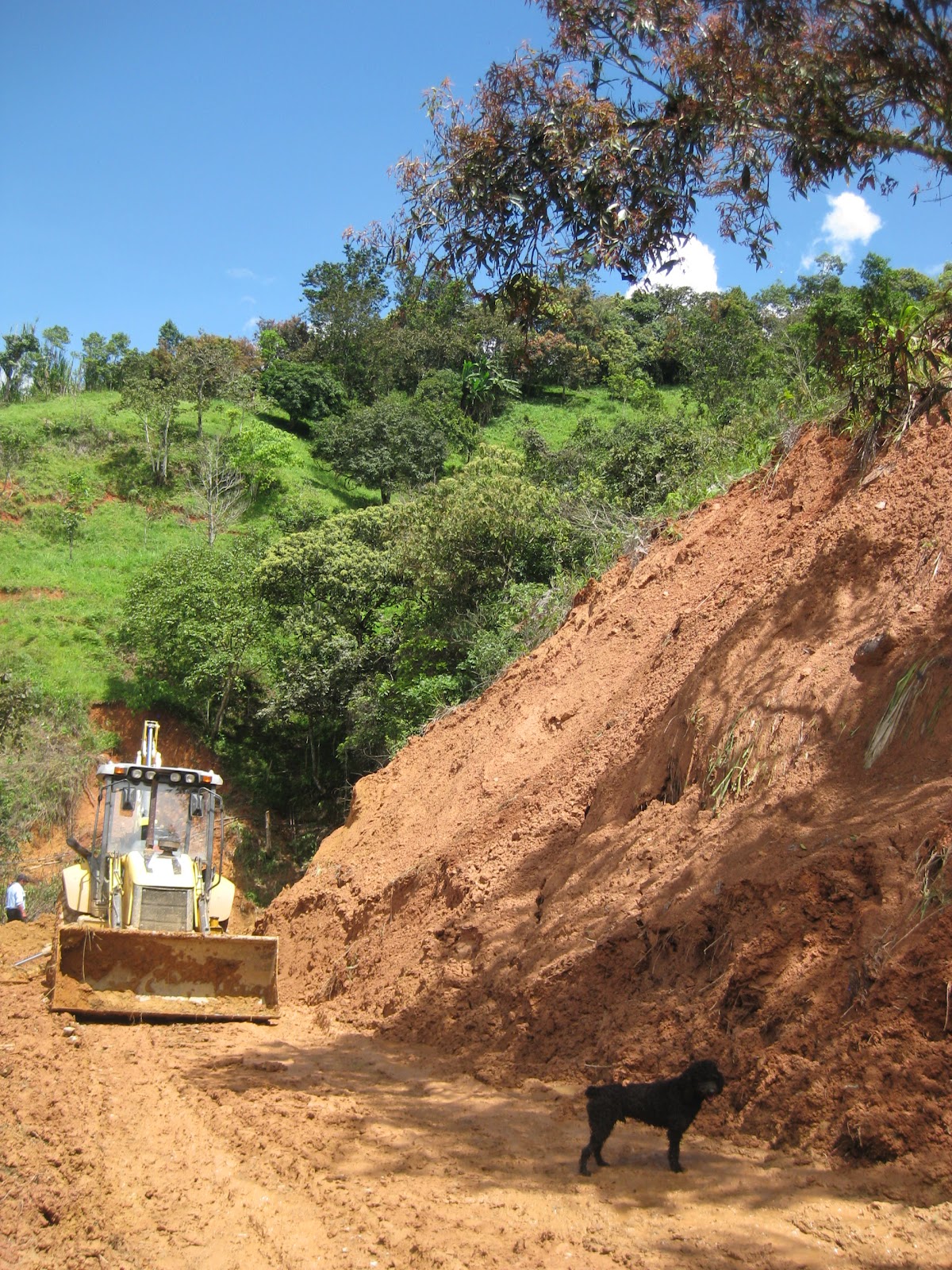 Jordan in Ecuador: Paccha, El Oro
